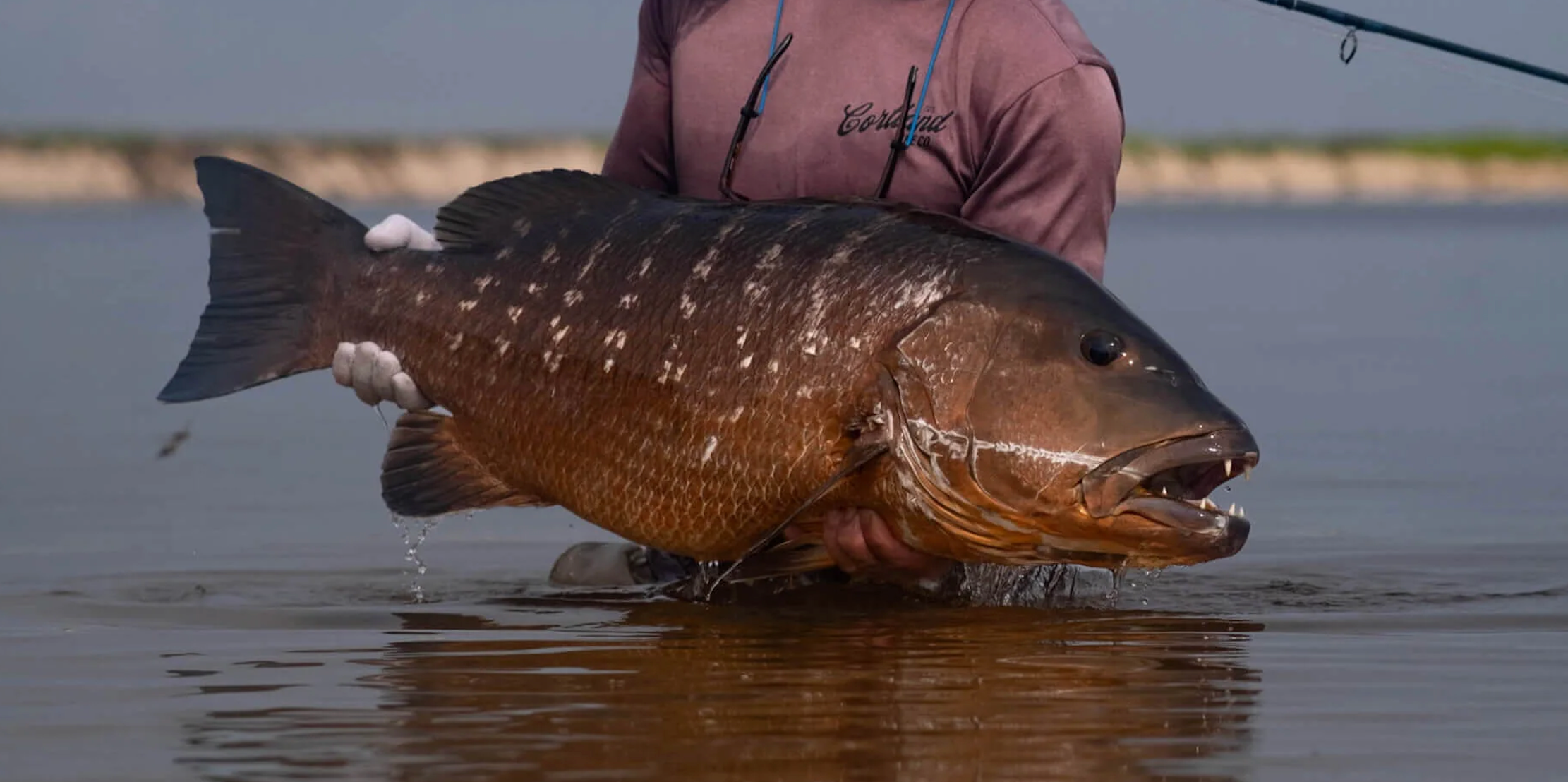 Cubera Snapper Flies – Salt Fly Pro