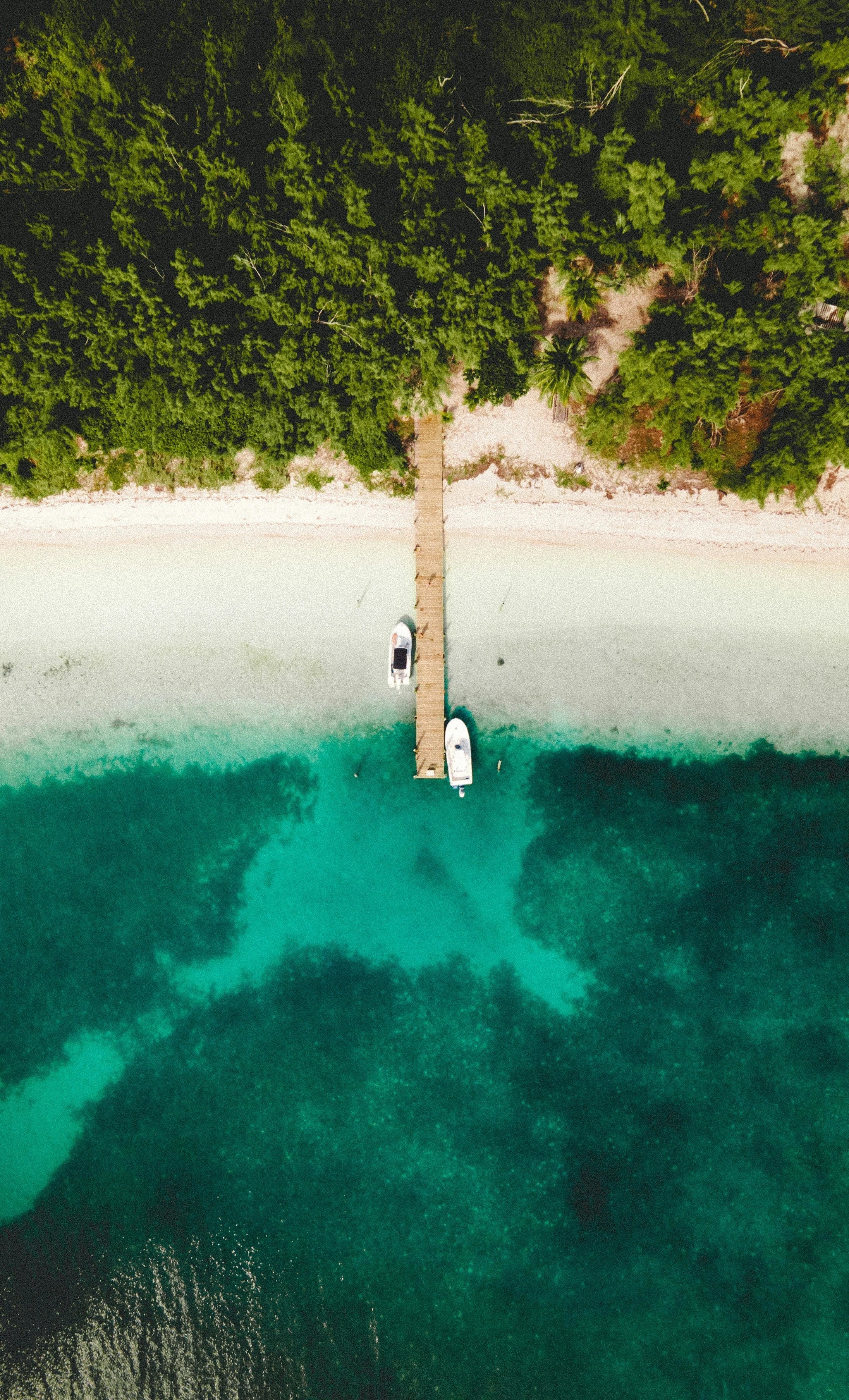 Best Flies for the Bahamas – Salt Fly Pro