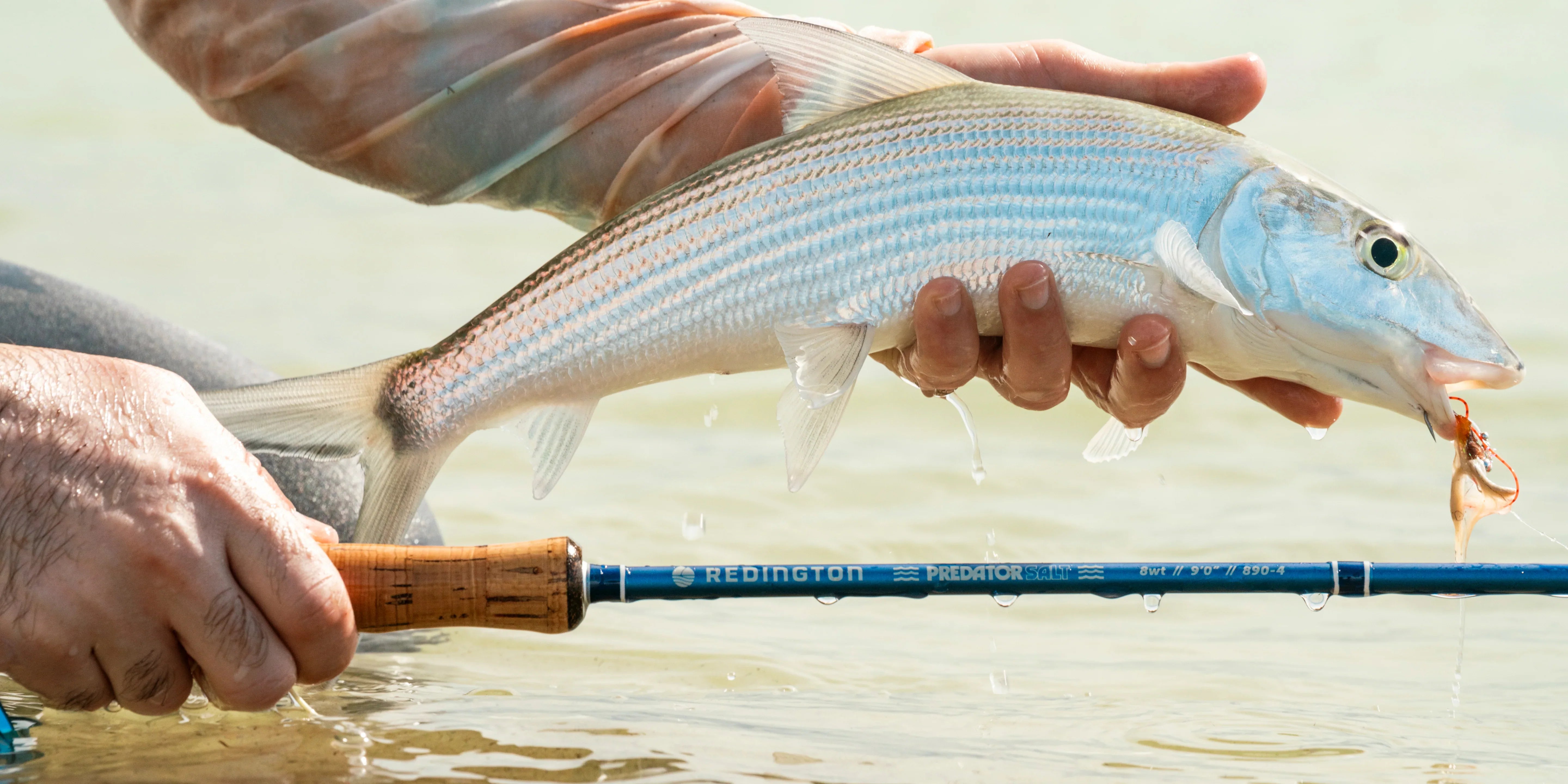 Redington Predator SALT Fly Rods – Salt Fly Pro