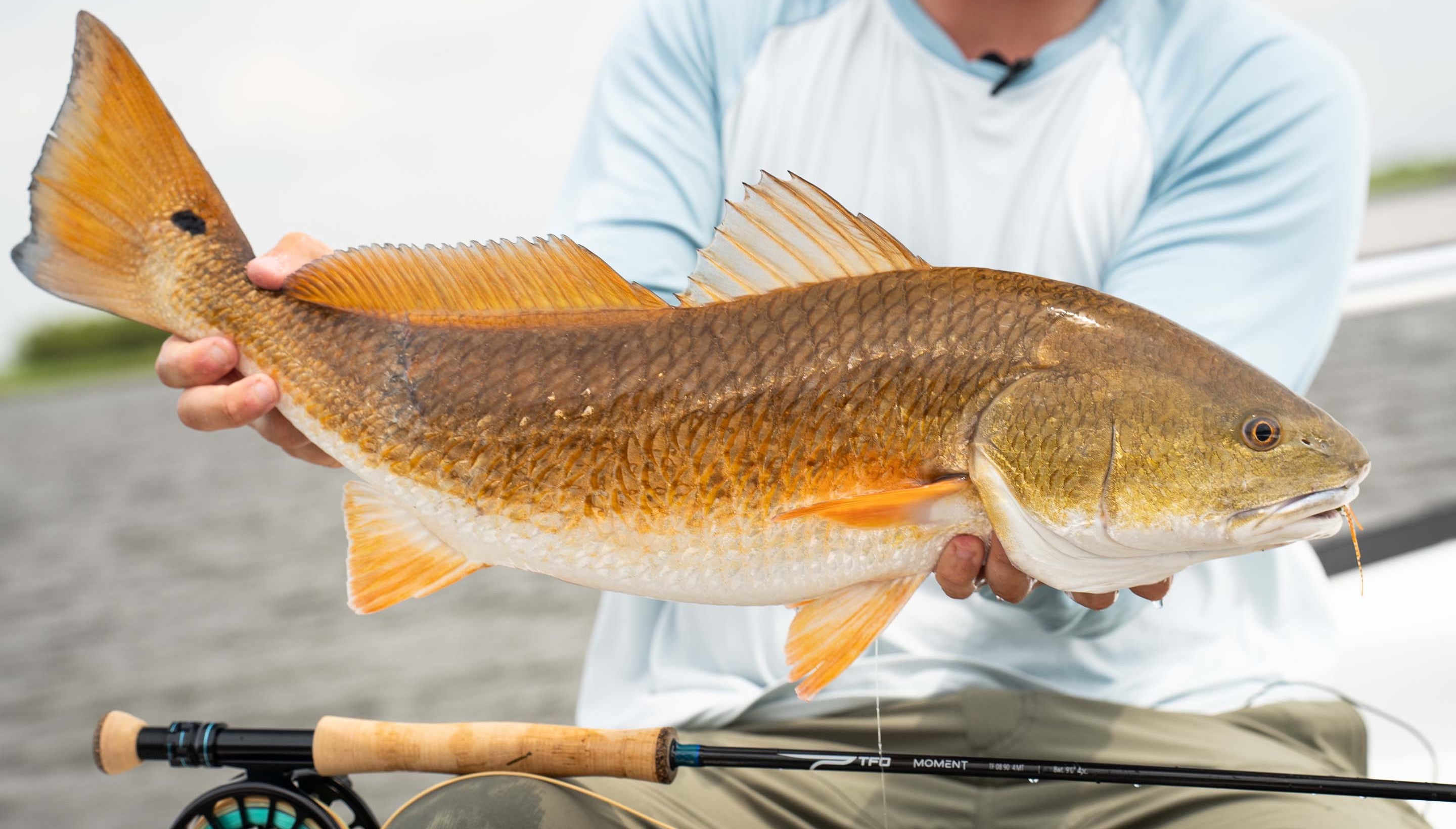 Best Redfish Fly Rods – Salt Fly Pro