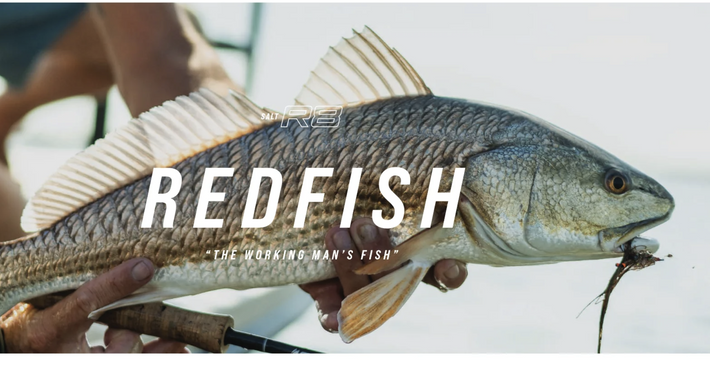 Flies – Salt Fly Pro