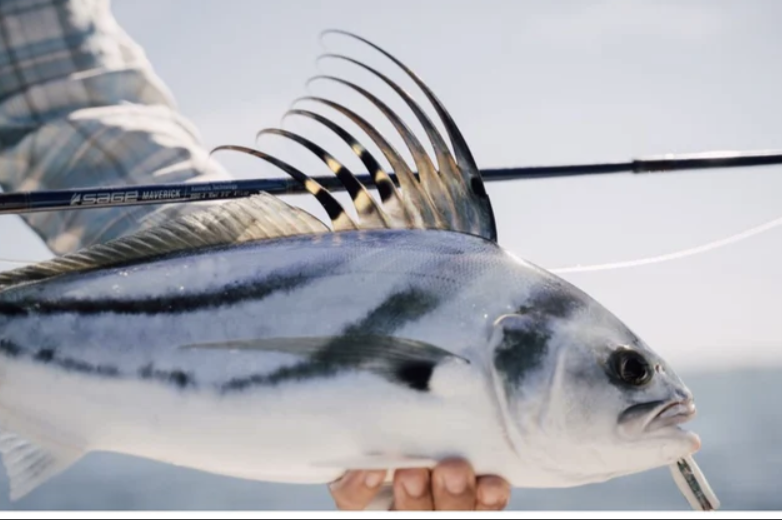 Flies – Salt Fly Pro