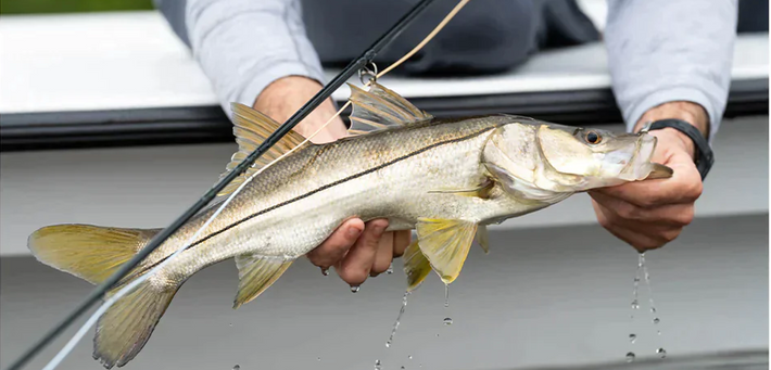 Flies – Salt Fly Pro